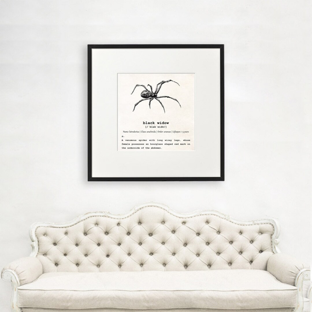 Black Widow Art, Dictionary Print, Black Widow Definition, Scientist ...