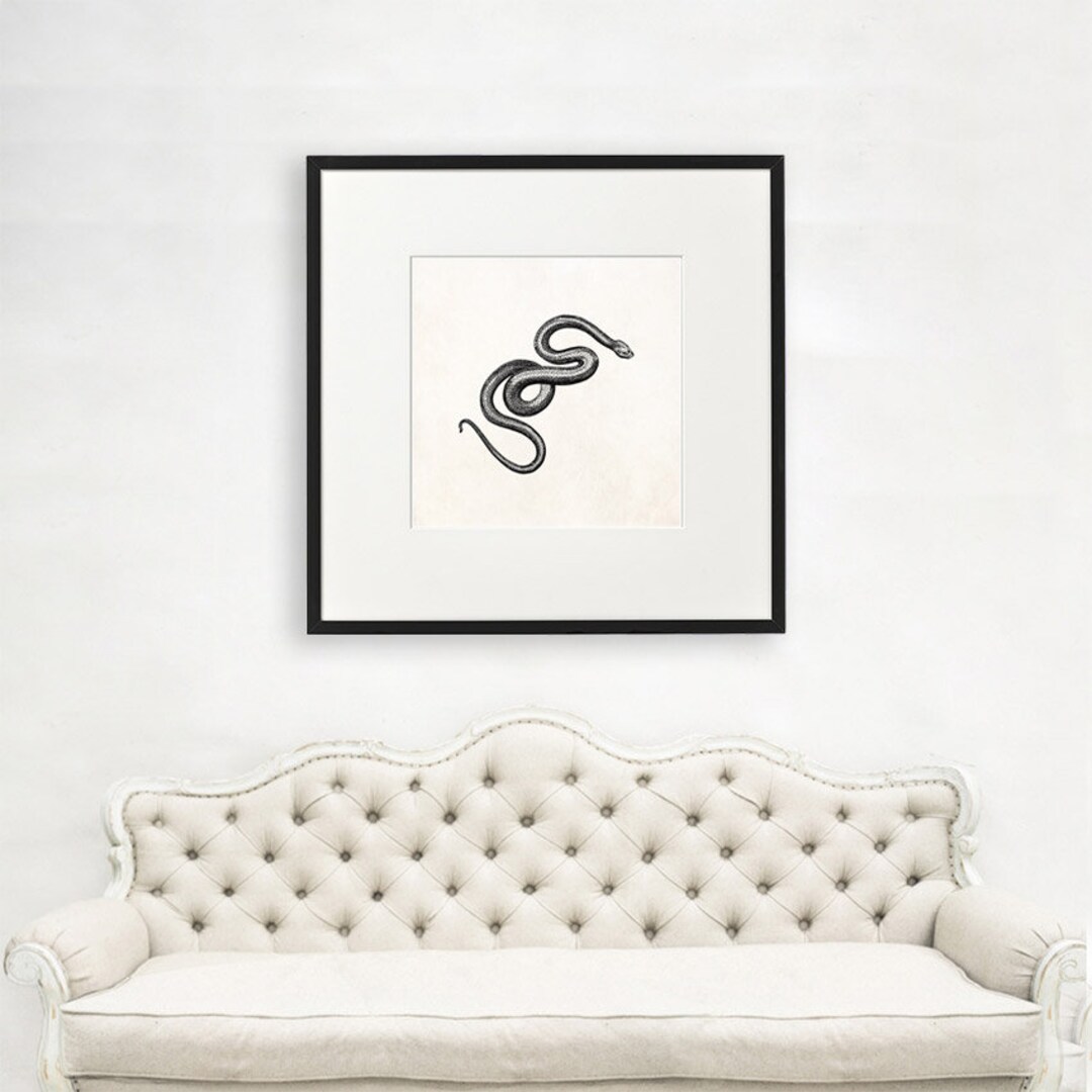 Snake Art Gift, Large Snake Wall Art, Gift for Scientist, Snake Lover ...