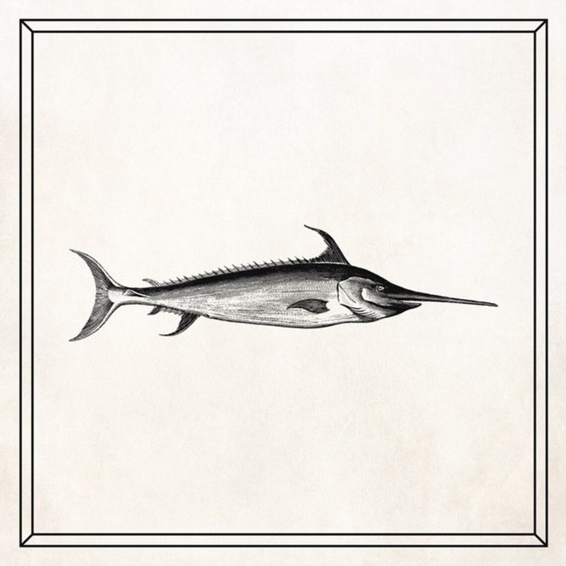 Swordfish Wall Art Large Fish Wall Art Gift for Scientist - Etsy