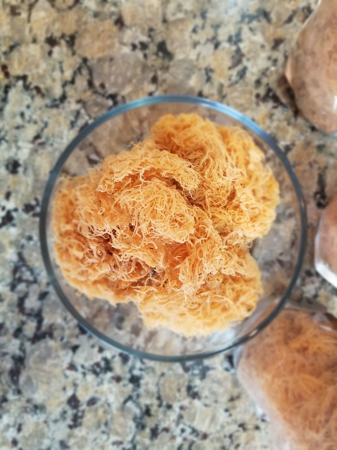 Wildcrafted Gold Sea Moss From St Lucia - 4oz, 8oz, 1lb Dried Seamoss ...