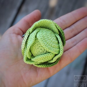 CABBAGE Crochet Pattern PDF Crochet Cabbage Pattern - Etsy Australia