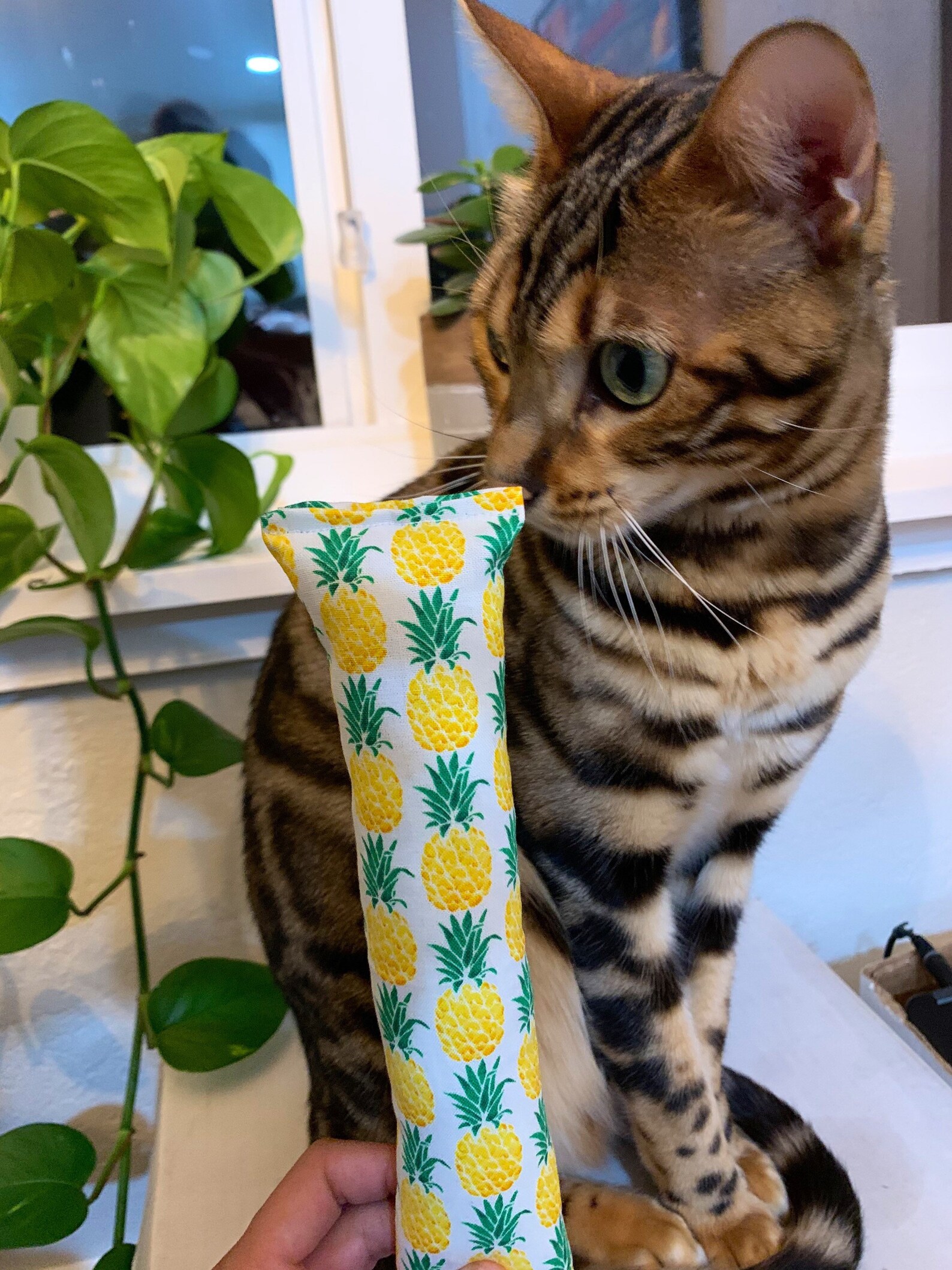 Cat Toy - Pineapple Catnip Cat Kicker Toy 8” - Etsy