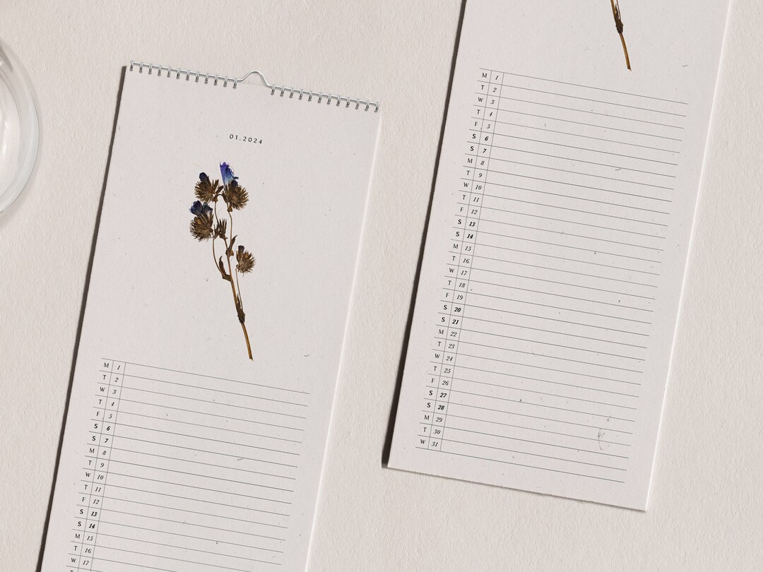 2024 Printed Wall Slim Calendar Botanical Illustrations Pressed Flowers ...