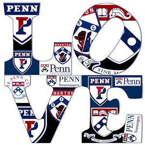 Love Villanova 12 X12 Canvas Art - Etsy