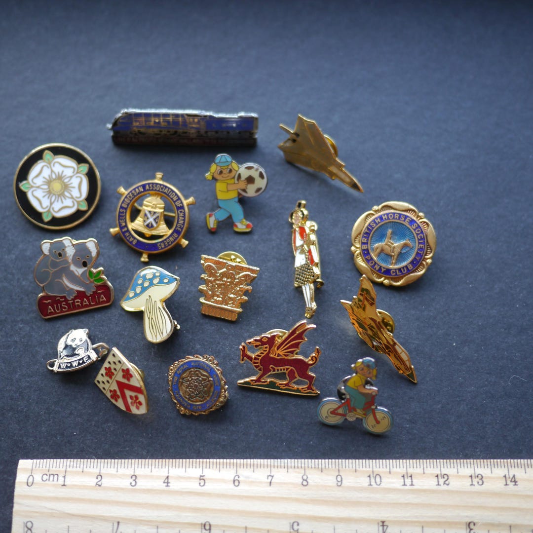 Lot of 16 Various Small Badges and Push Pins Charity Etc. - Etsy