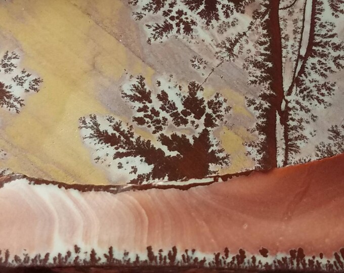 Apache Picture Jasper Sonora Dendritic Jasper Slabs Combo Offering - Etsy