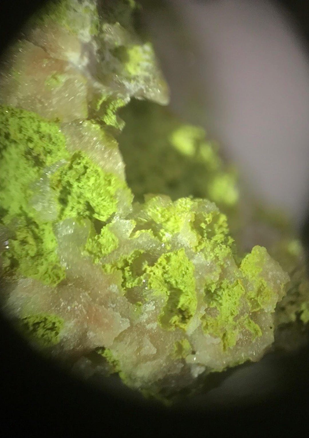 Chenevixite - Chile ~ Green Micro Mineral Specimen - Micro Photography ...