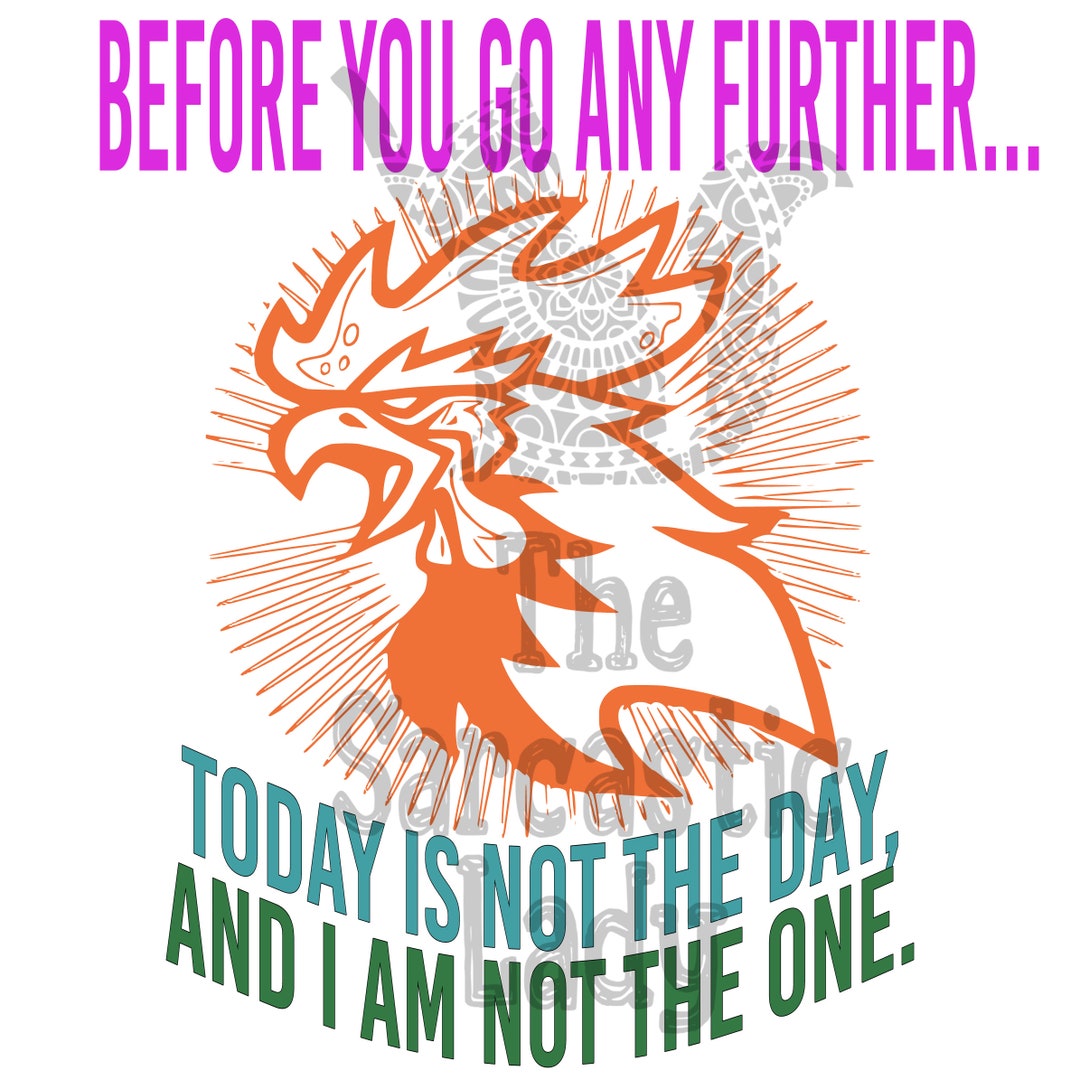 Before You Go Any Further, Today is Not the Day, and I Am Not the One ...
