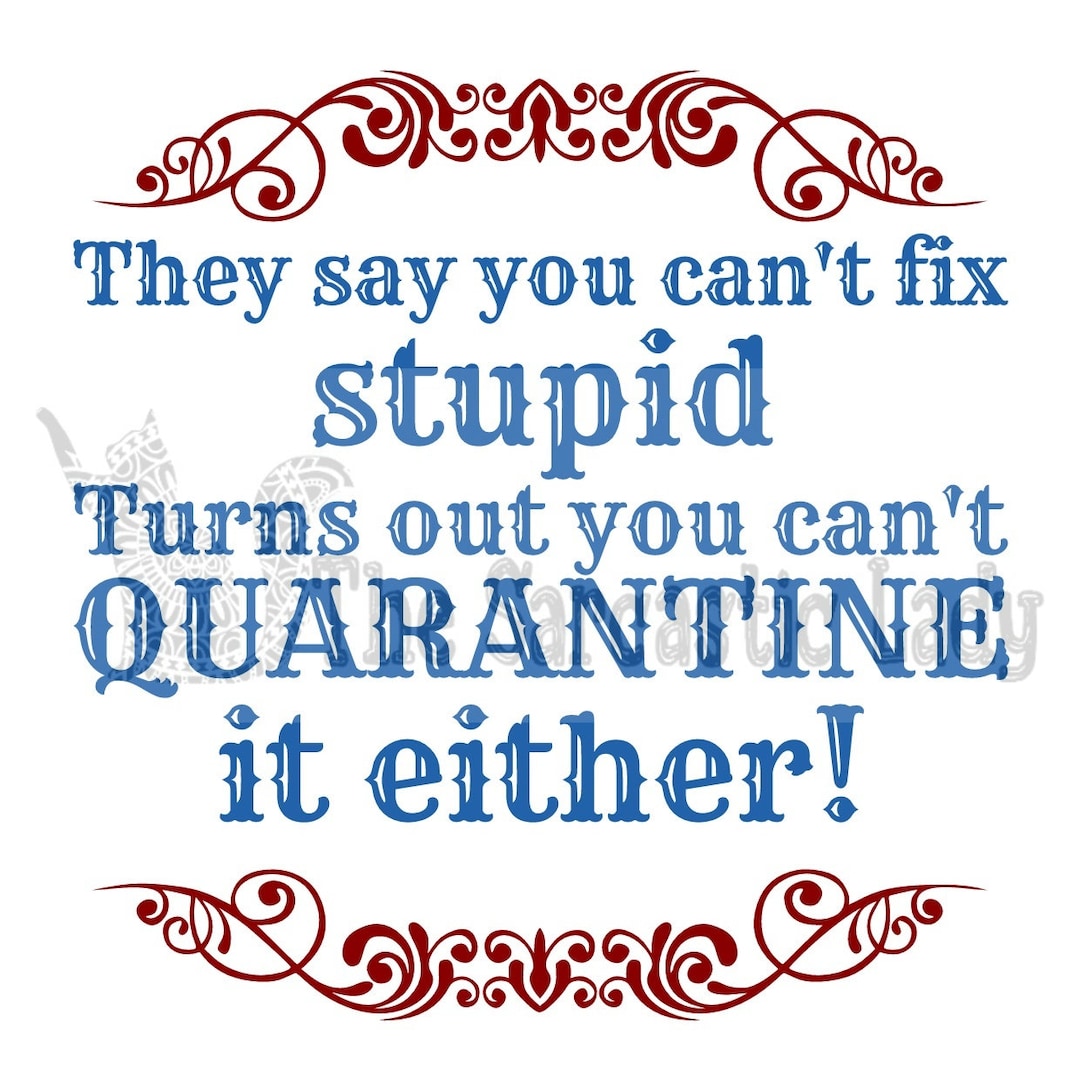 You Can't Fix Stupid SVG - Etsy