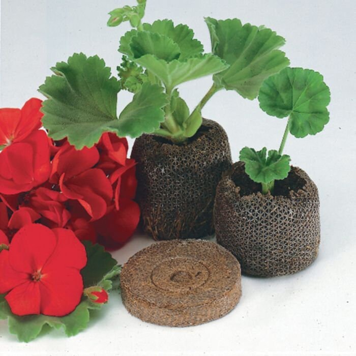 Flower Seed Kits in Recycled Craft Gift Boxes. Minimum Order | Etsy Canada