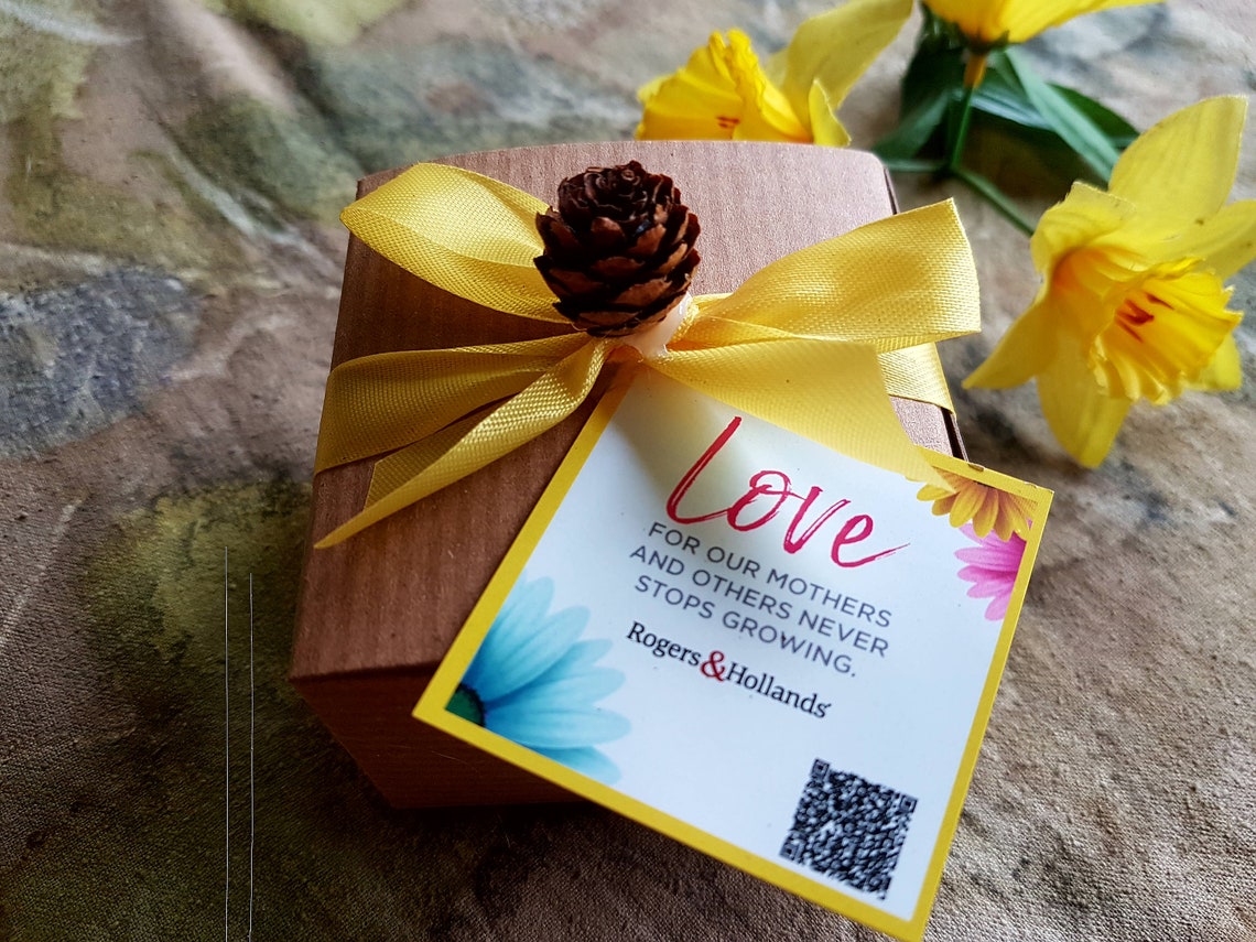 Flower Seed Kits in Recycled Craft Gift Boxes. Minimum Order - Etsy