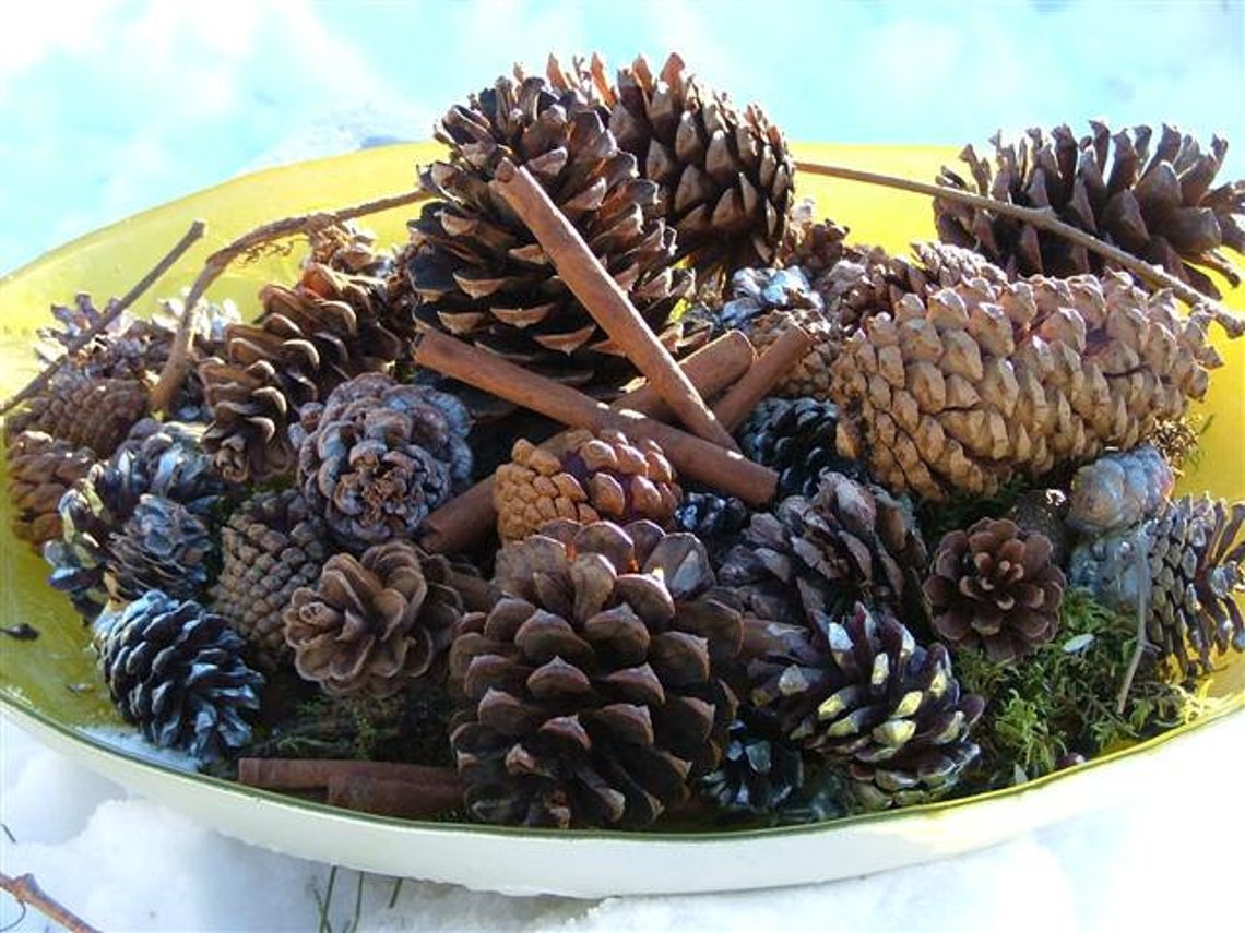 Variety of Cones - Etsy