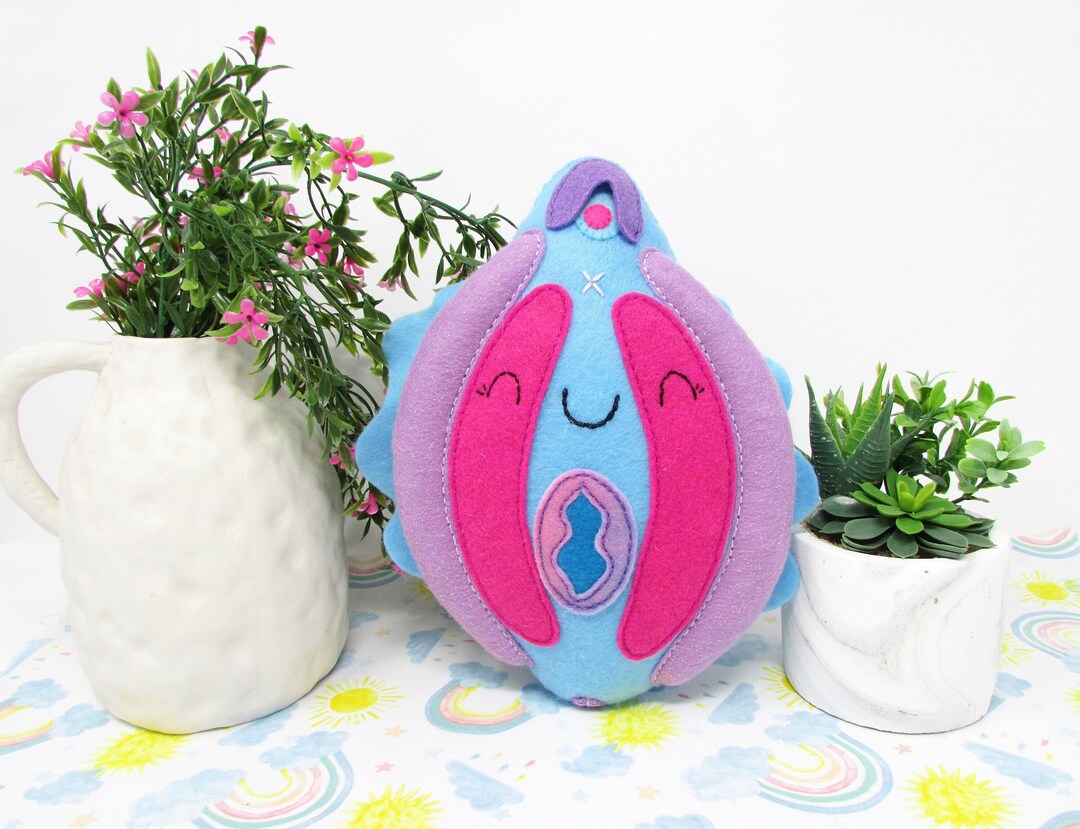Multicolour Vulva Plushy Yoni Pillow Vulva Plushy Yoni Etsy