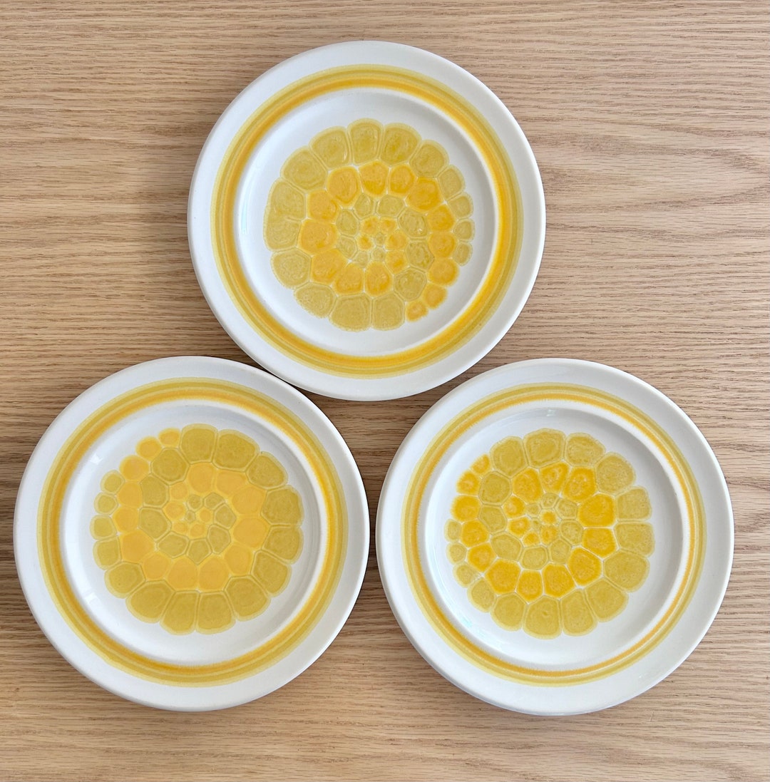 Franciscan Sundance Salad Plates Set of 3 - Etsy