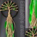 Dream Catcher Dreamcatcher Tree of Life Dreamcatcher Gift Wall Hanging ...