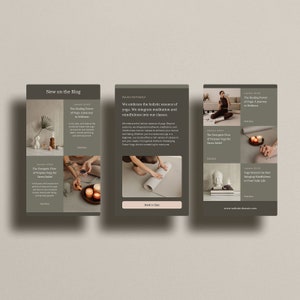 Asana Social Media Kit, 80 Editable Canva Templates, 20x4 Different ...