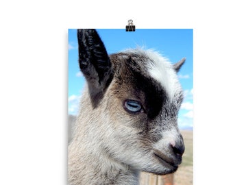 Goat poster | Etsy