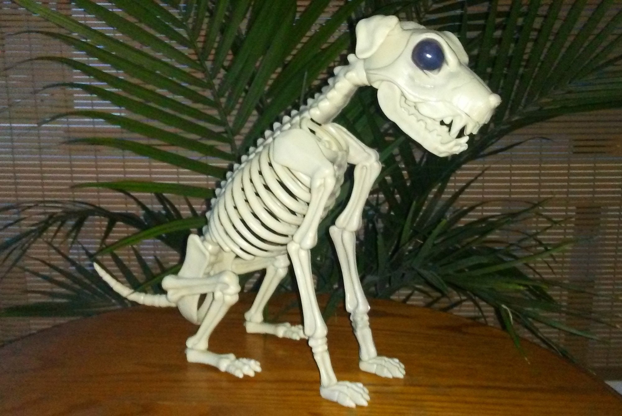 Skeleton Dog Halloween