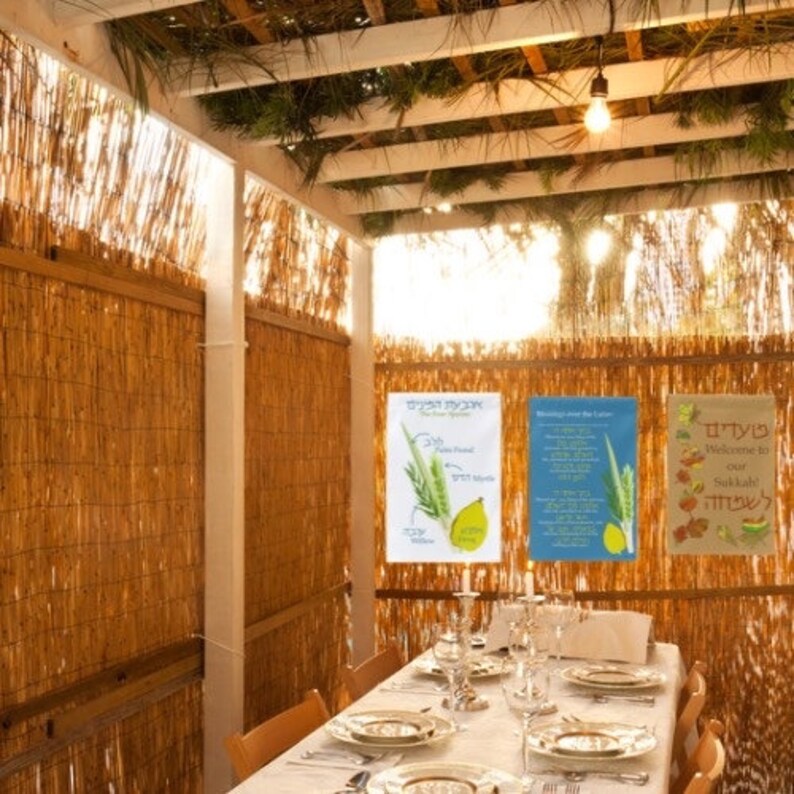 Sukkot Decorations, Lulav Blessing Bracha Sukkah Decoration, Benching ...