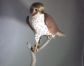 Hawk sculpture | Etsy