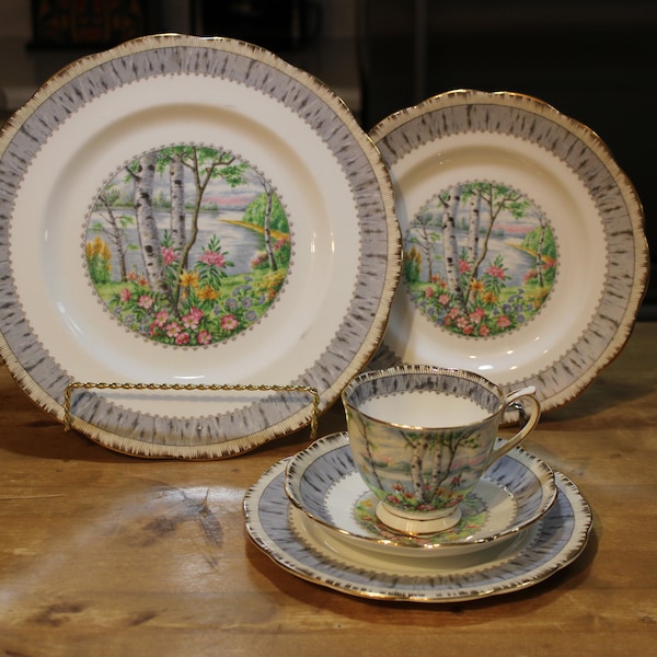 Royal Albert Tea Set Silver Birch - Etsy