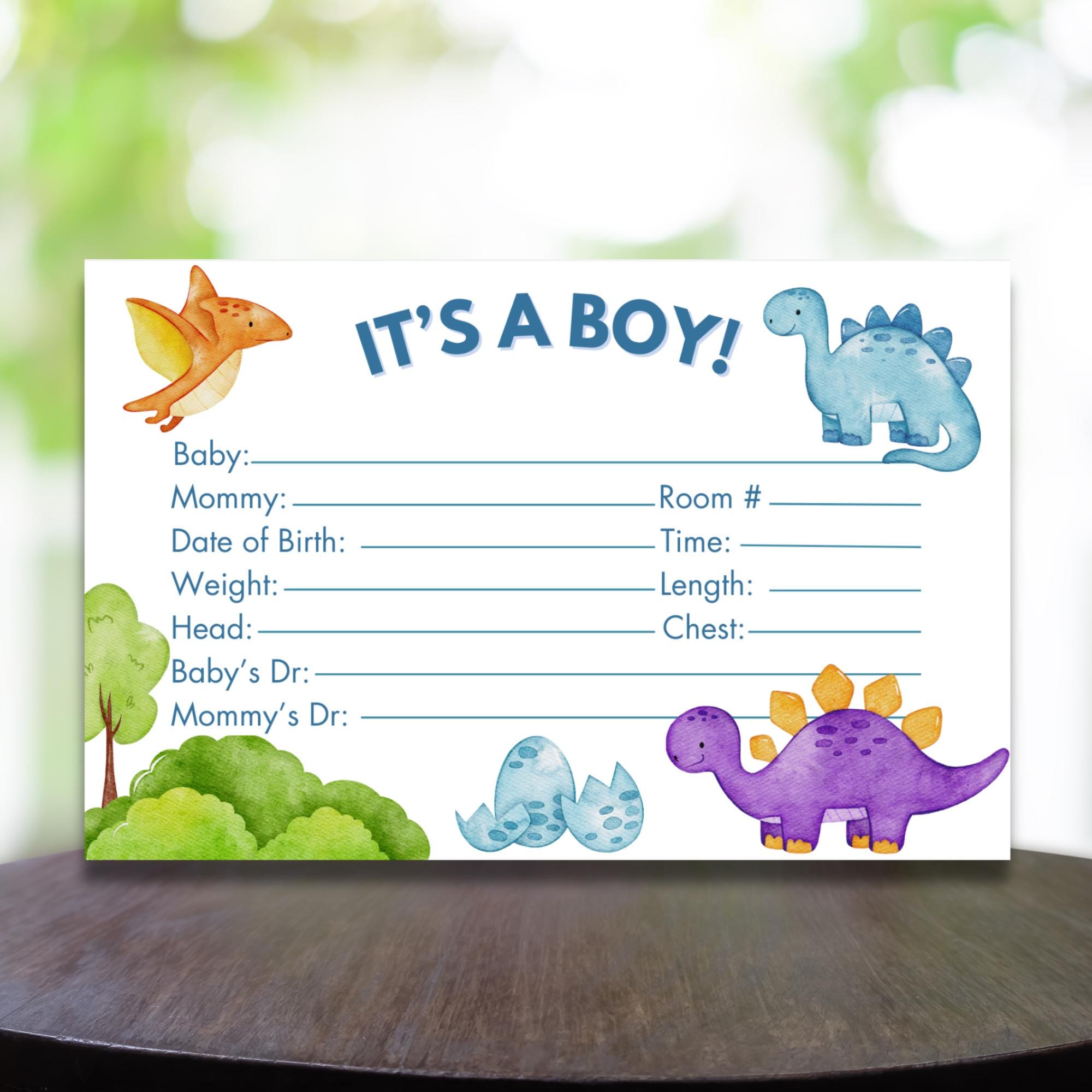 Hospital Crib Card, Baby Birth Stats Card, Baby Boy Name Card, NICU ...
