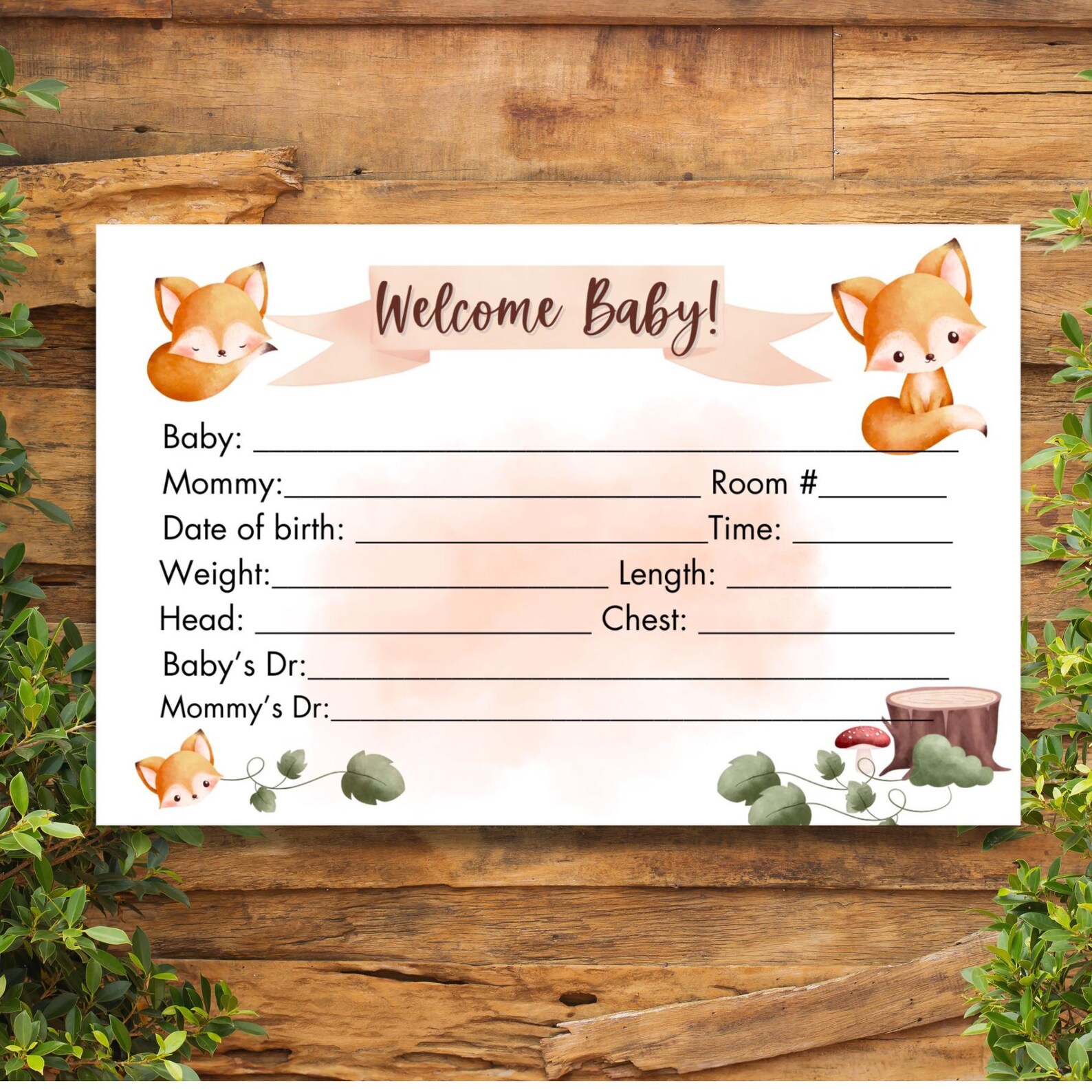 Hospital Crib Card, Baby Birth Stats, Baby Boy Name Card, NICU Name ...