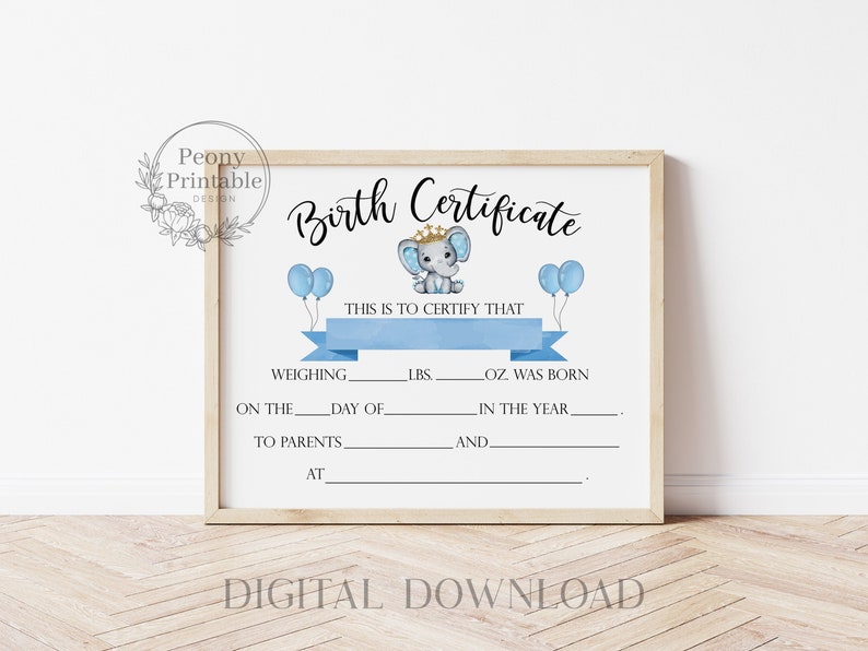 Printable Baby Birth Certificate Baby Boy Certificate - Etsy Australia