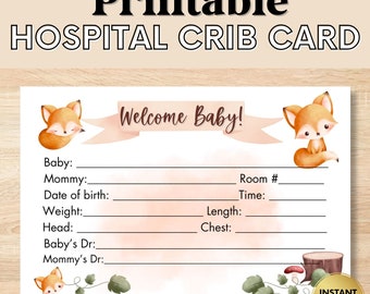 Printable Hospital Crib Card for Reborn - Etsy