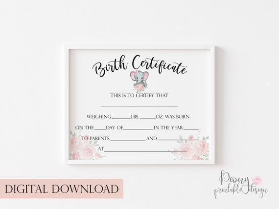 Certificat De Naissance Vierge Pour Projet Scolaire Certificats De