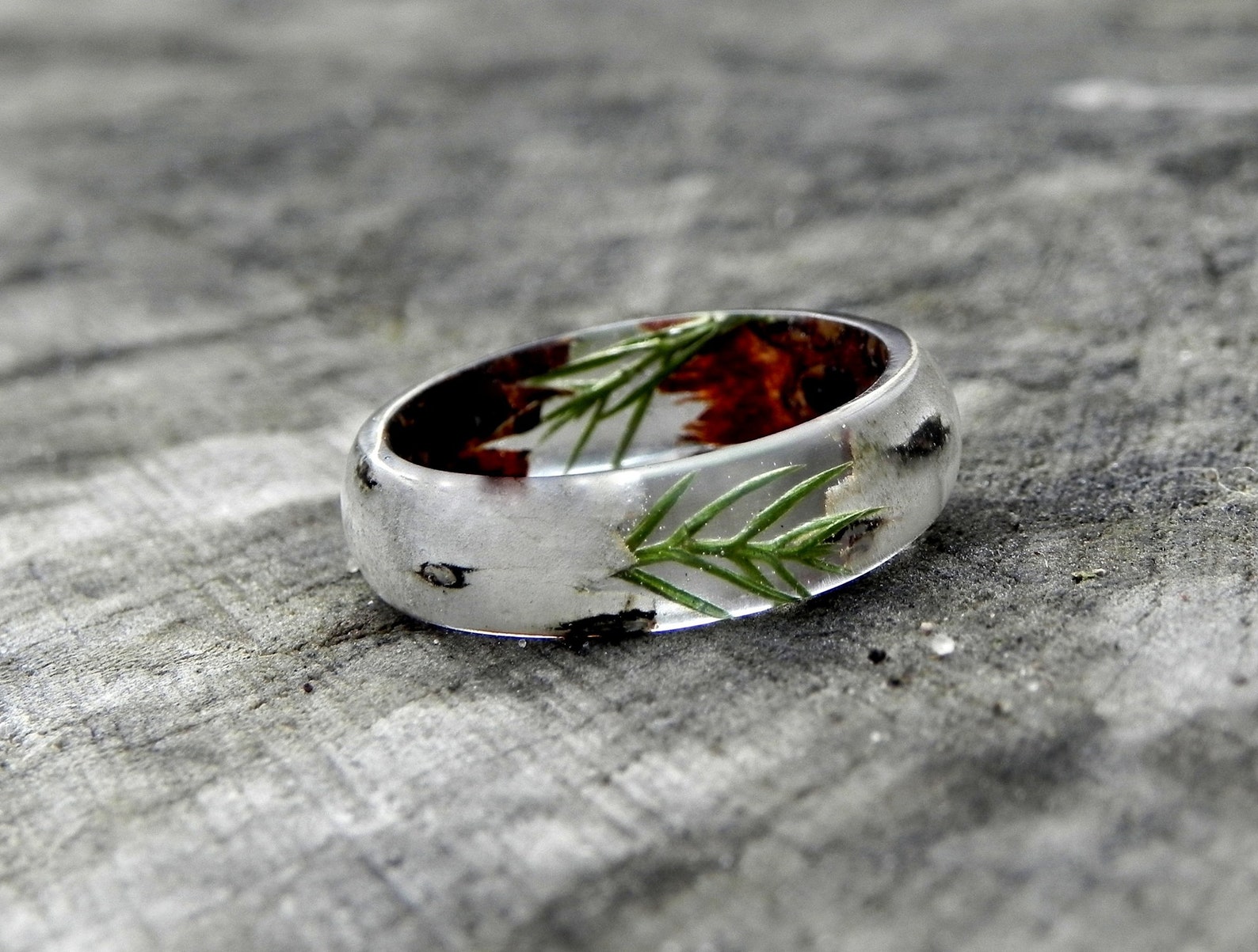 Birch Forest Ring, Juniper Wood Ring, Men BIRCH Ring, Women Juniper ...