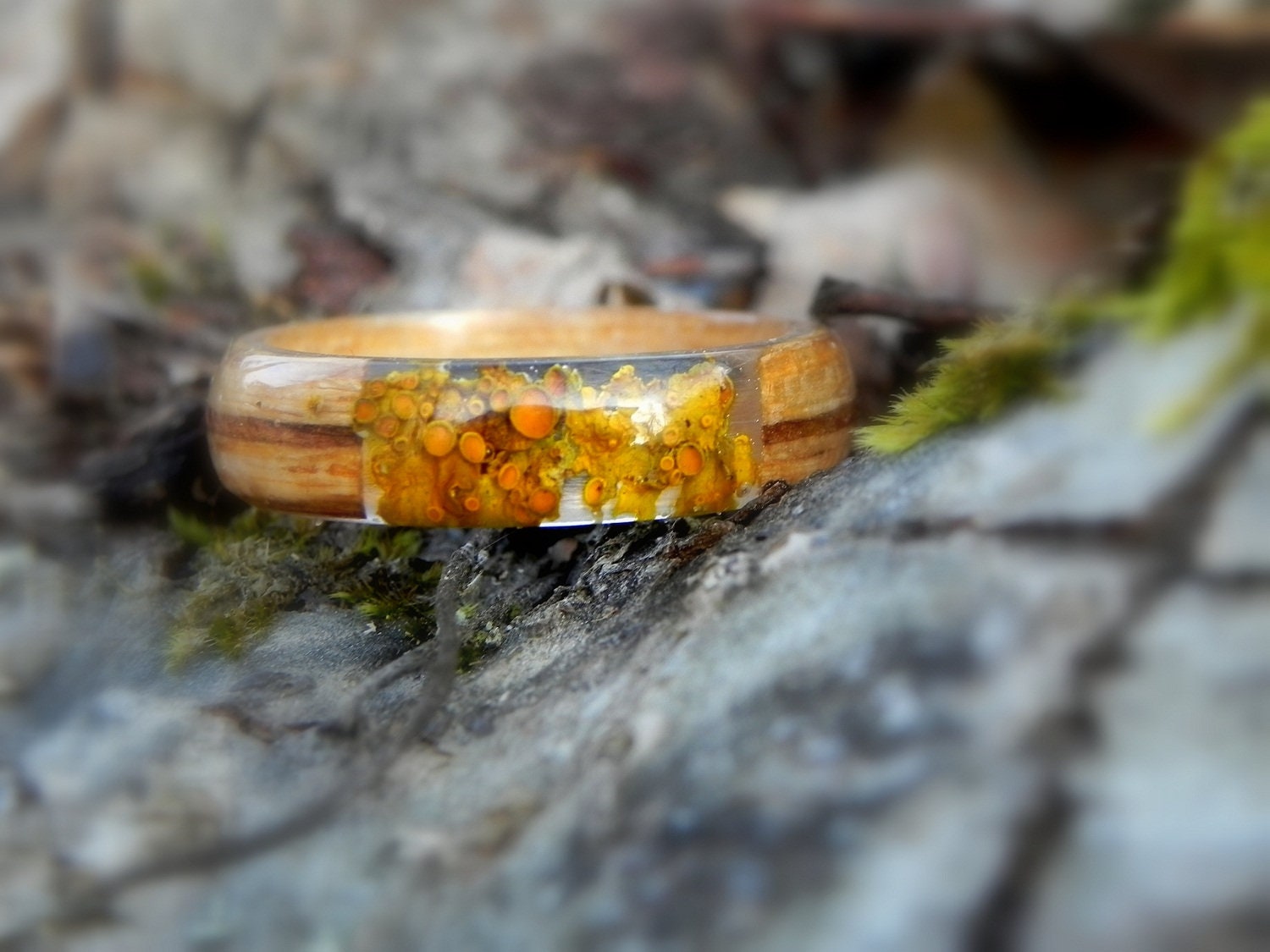 Orange moss ring Spring wooden ring Terrarium wood ring | Etsy