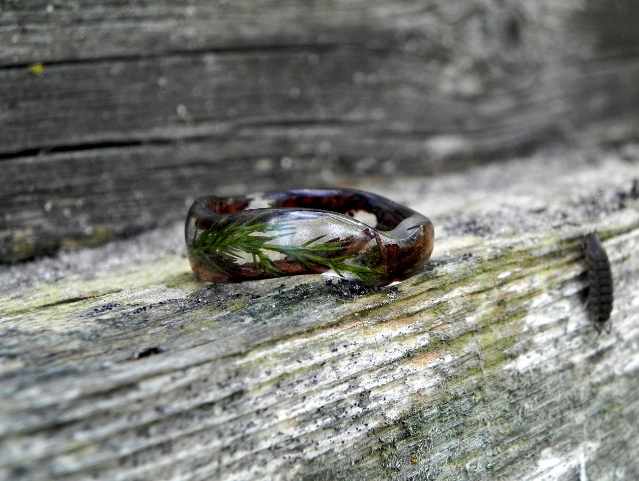Juniper Bark Ring Nature Forest Ring Men Women Wood Ring | Etsy UK