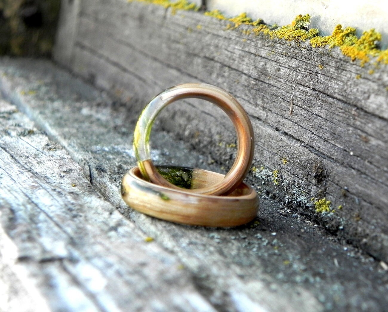 Real Moss Resin Ring Mens Ring Wooden Ring Nature Resin - Etsy