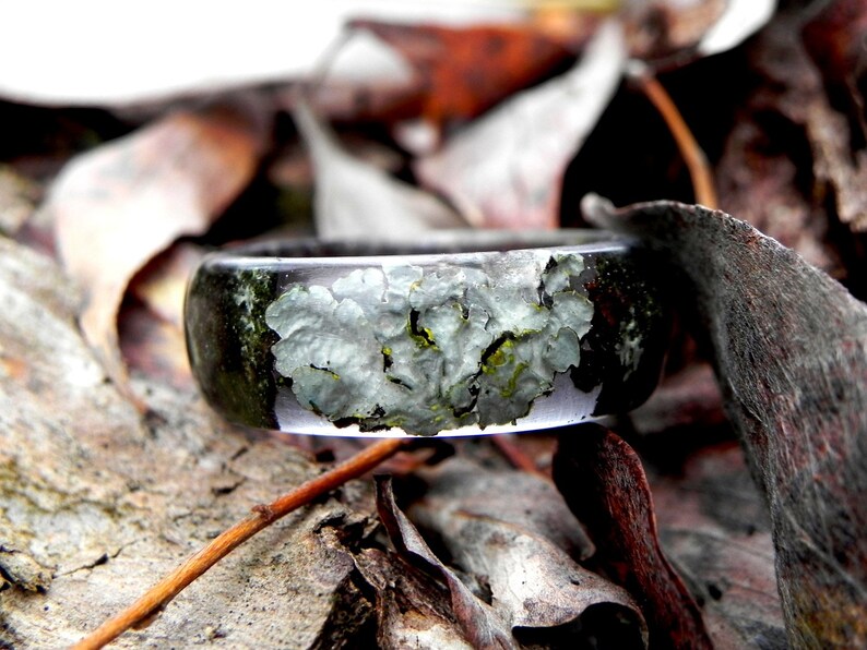 Winter wooden ring Men moss bentwood ring Forest ring | Etsy