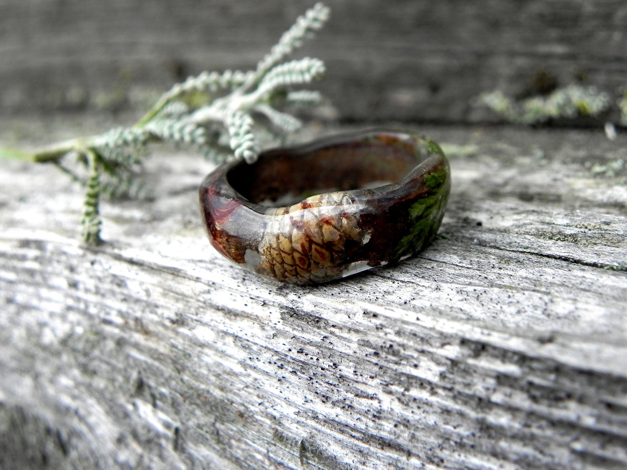 WOOD FOREST RING Nature Wooden Ring Bark Wood Ring Wood - Etsy