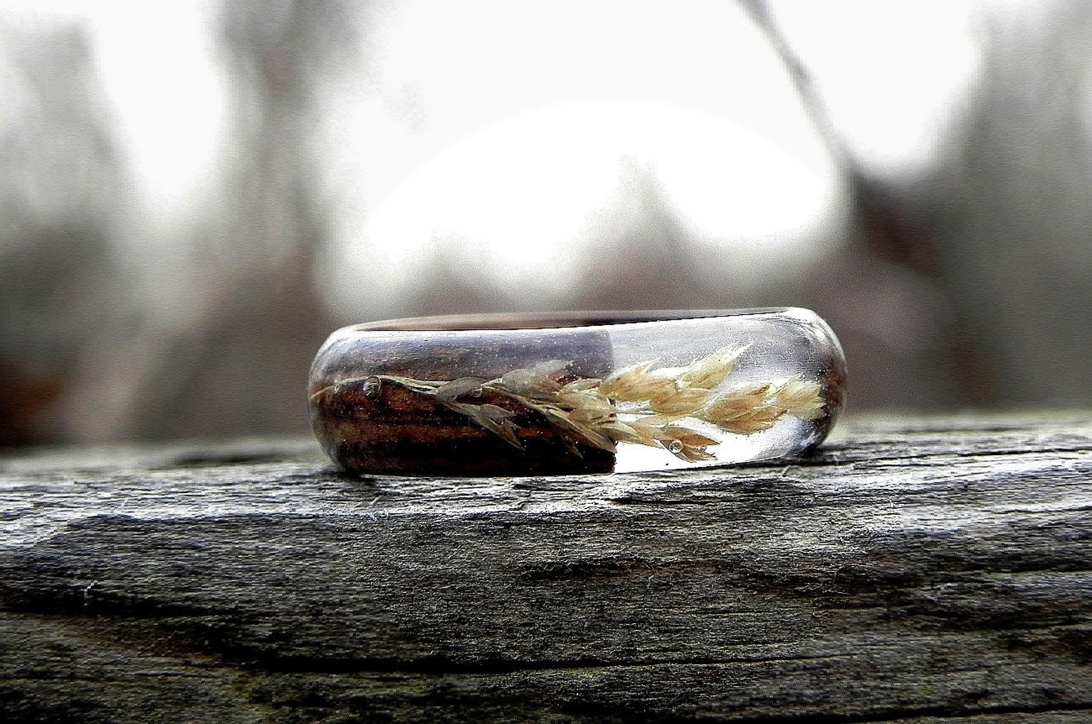 Botanical Wood RING Terrarium Plant Rings Resin Wooden Ring - Etsy