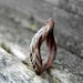 Plant Wedding Ring Wood Grass Ring Resin Wooden Ring Women - Etsy