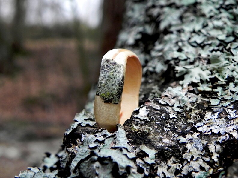 Nature Forest Ring, Moss Birch Ring, Birch Bark Resin Ring, Women ...