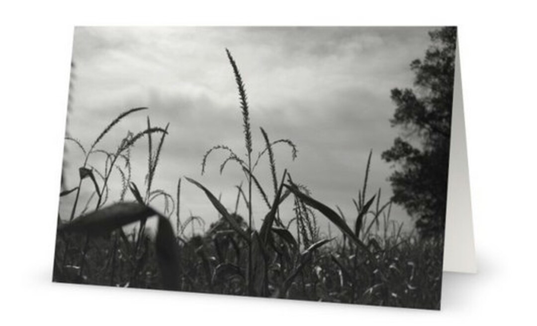 Individual Card / Corn Stalk - Etsy