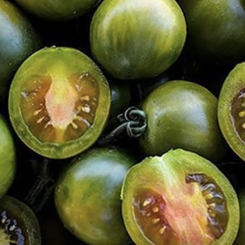Seeds & Seed Bombs Tomato 'Evil Olive ' Solanum lycopersicum 10 seeds A ...