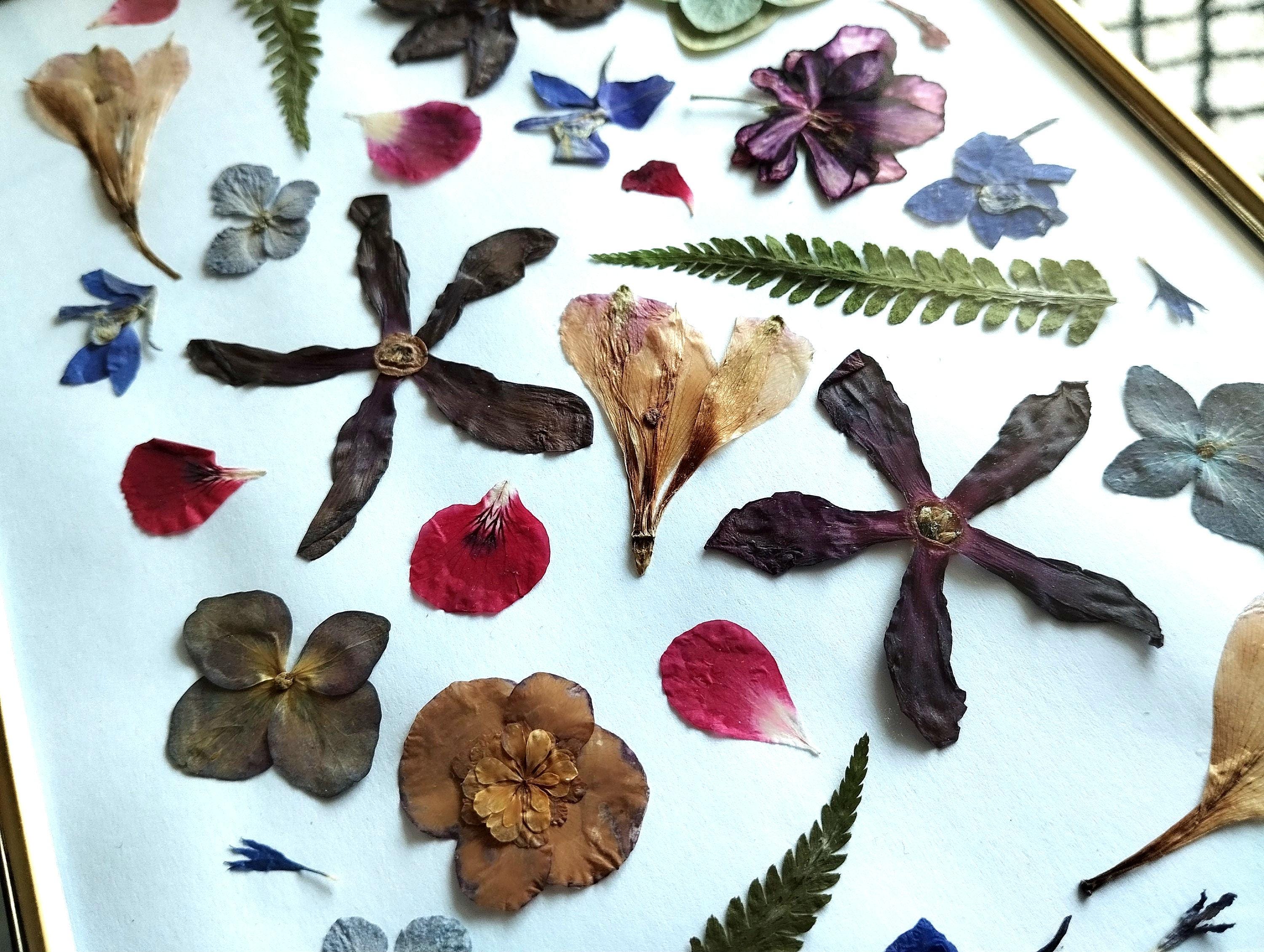 Handmade Artwork With Pressed Dried Flowers – 8.3 X 11.8", Unique ...