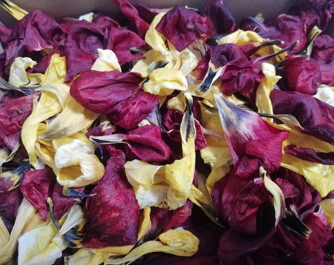 Air Dried Yellow Red Tulip Petals, Preserved Tulips, Dried Tulips ...