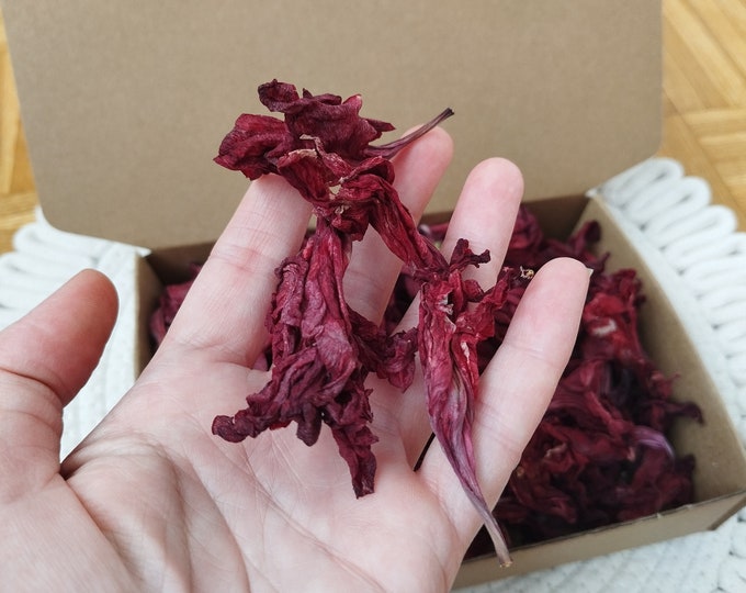 Red Gladiolus Hortulanus, Dried Gladiolus Red, Organic Dried Gladiolus ...
