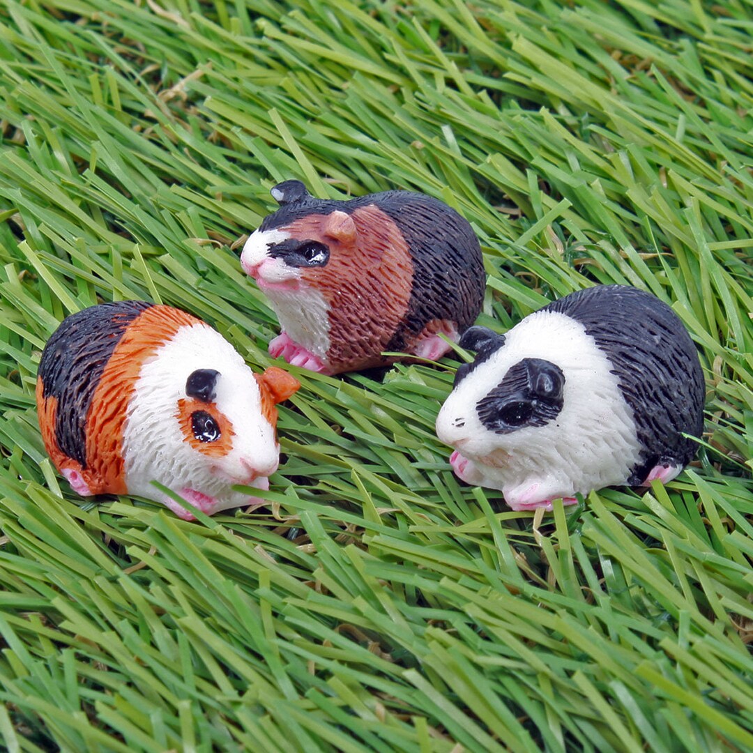 PAIR of Miniature Guinea Pigs, Fairy Garden Guinea Pig, Fairy Garden ...
