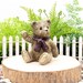 Fairy Clothes Line With Fairy Skirts, Fairy Washing Line With Fairy ...