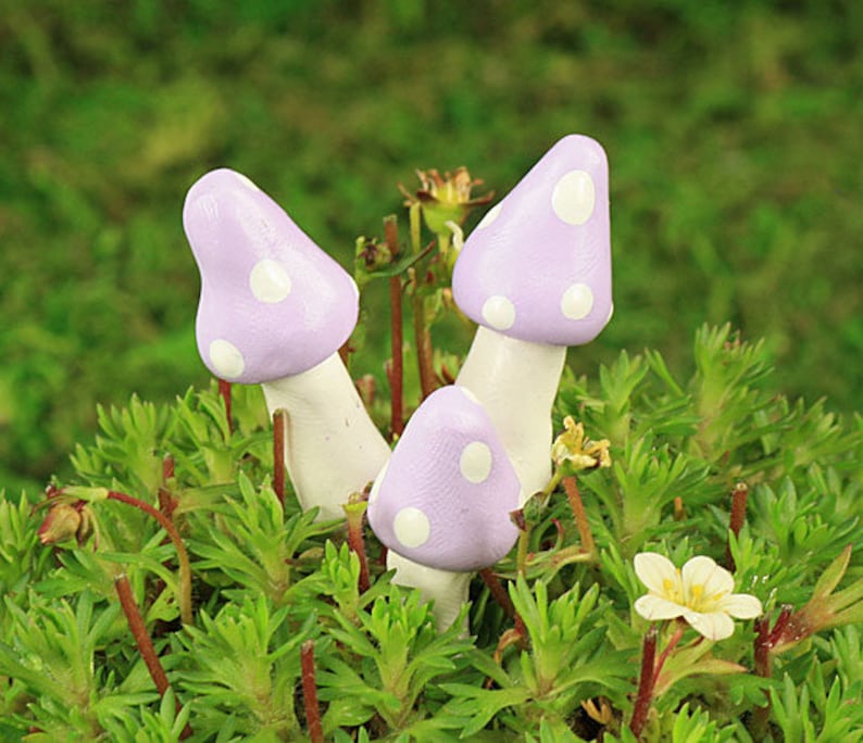 Set of 3 Woodland Mushrooms Fairy Garden Mushrooms Fairy - Etsy