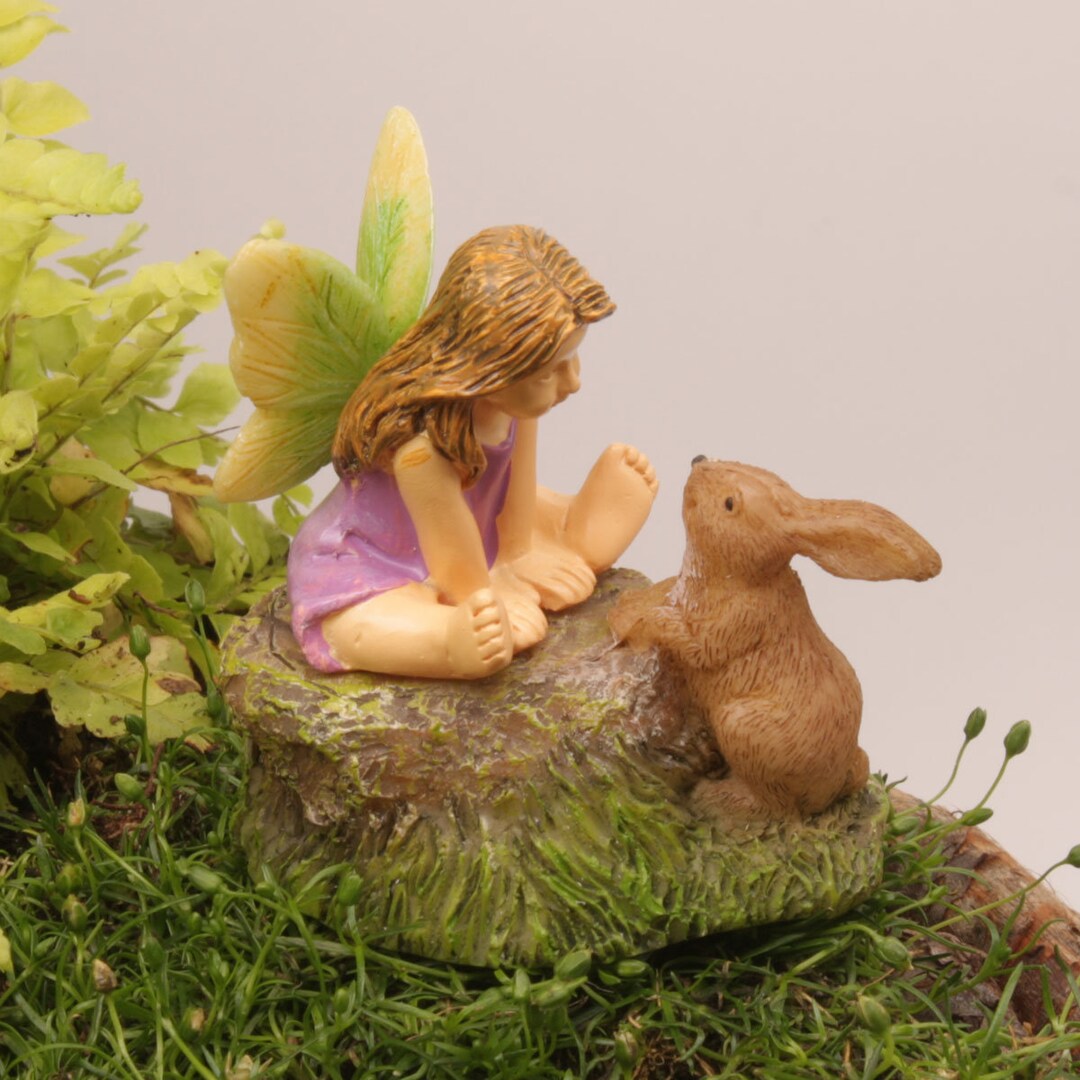 Chatting With Mr Bunny, Fairy and Bunny, Fairy and Rabbit, Fairy Garden ...