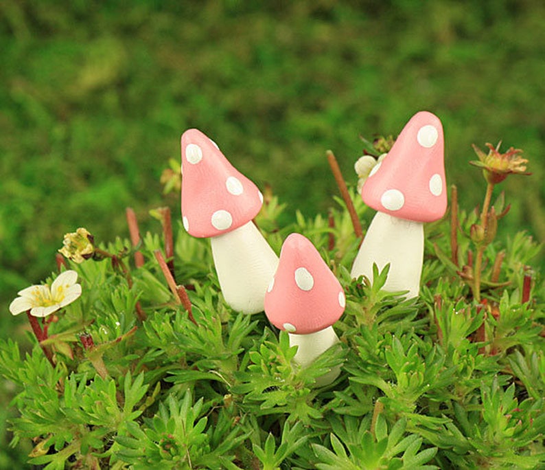 Set of 3 Woodland Mushrooms Fairy Garden Mushrooms Fairy - Etsy UK