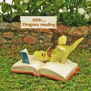 Miniature Dragon Reading Book, Shh...dragon's Reading Sign, Enchanted ...